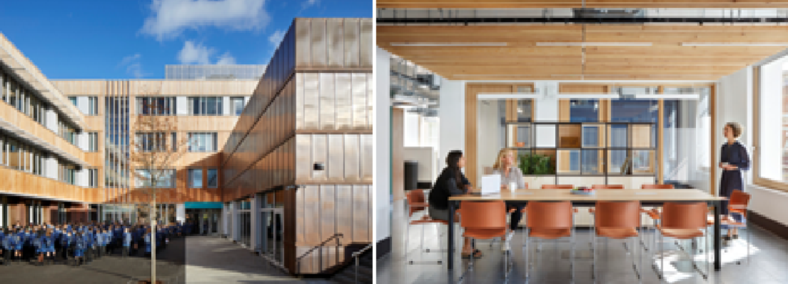 CPD Accredited: Demystifying Net Zero | The Association of Women in ... CPD Accredited: Demystifying Net Zero | The Association of Women in ...