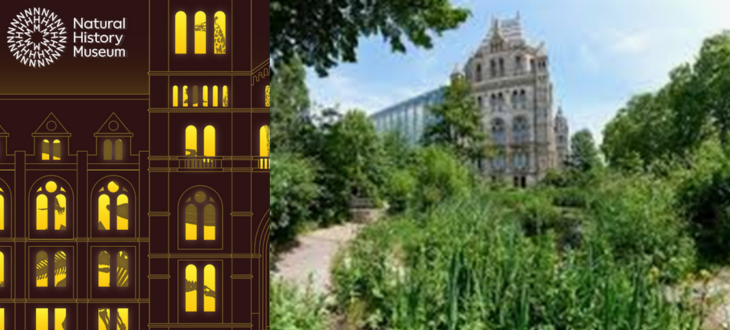 Patron’s Night at the Natural History Museum | The Association of Women ...